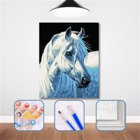 Yıldız At Sayılarla Boyama Seti - Kendin Yap Hobi